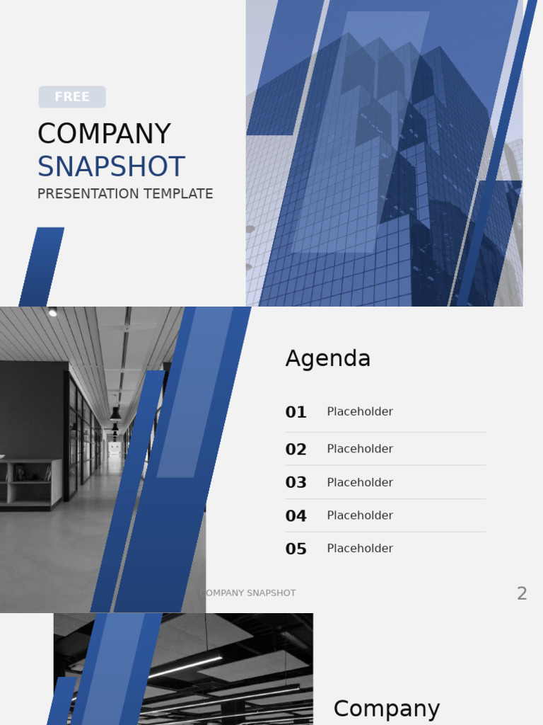 Free Company Snapshot PowerPoint Template | PDF