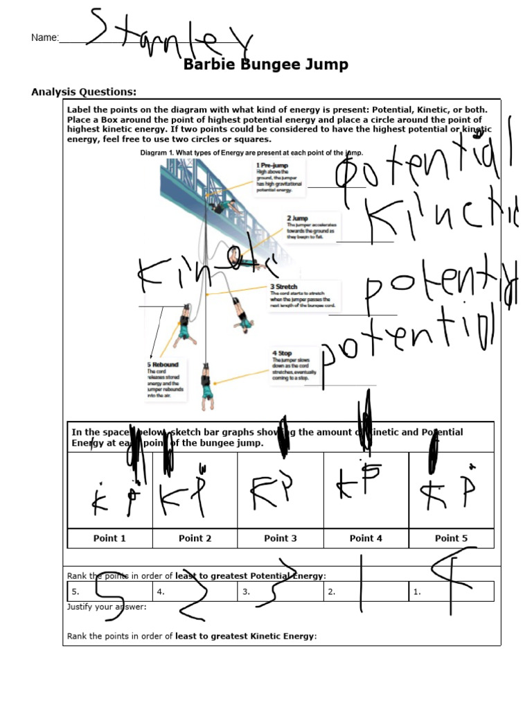 Barbie Bungee Analysis | PDF