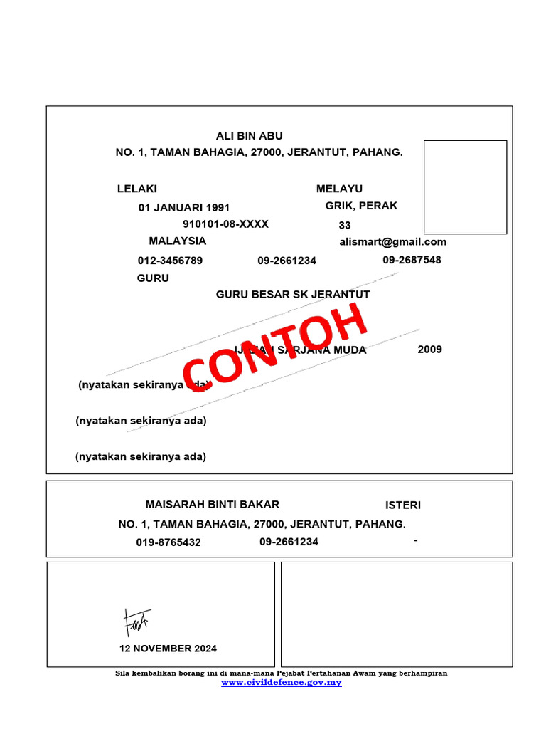 Garis Panduan Mengisi Borang Permohonan Anggota | PDF