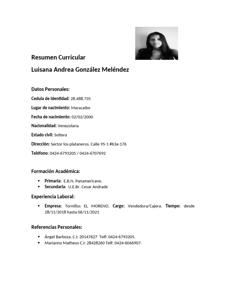 Resumen Curricular | PDF
