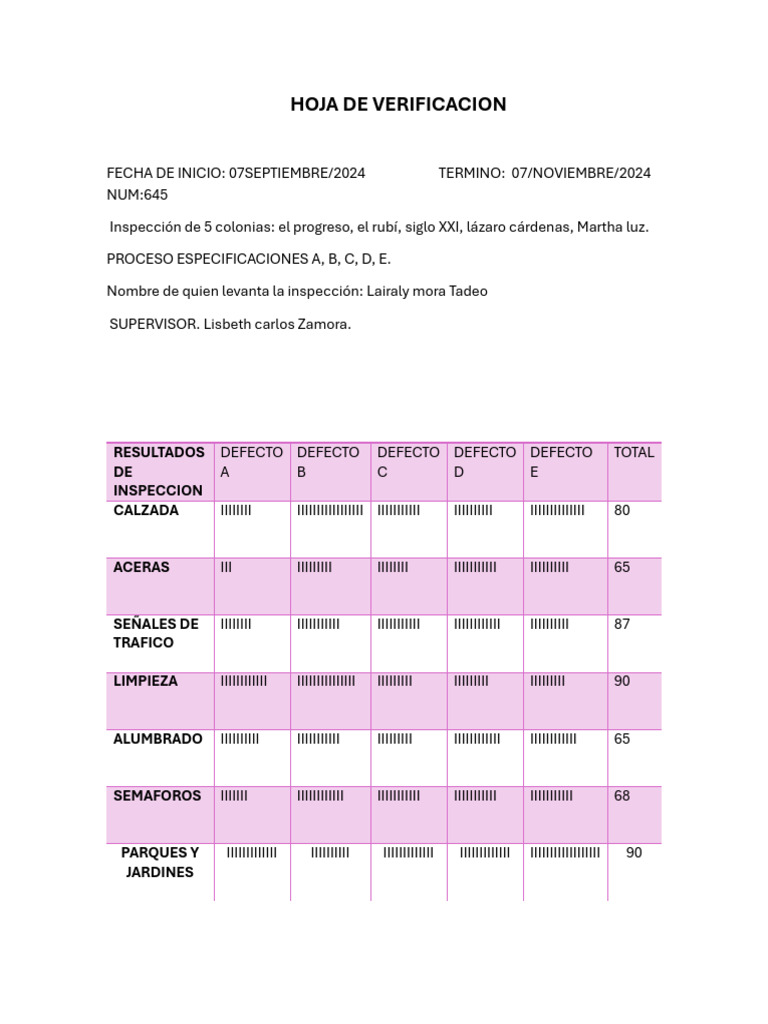 Hoja de Verificacion | PDF