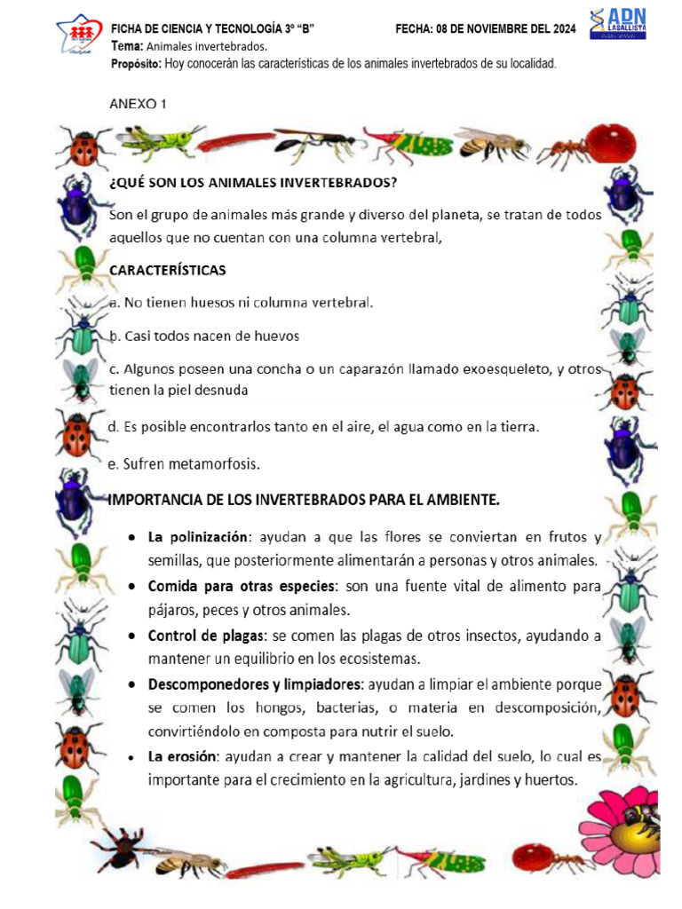 FICHA CYT 08 NOV. ANIMALES INVERTEBRADOS Ok | PDF