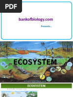 CBSE Biology Chapter 12 Ecosystem Class 12 Notes - FREE PDF | PDF ...