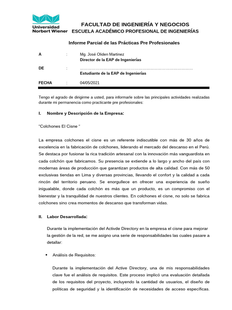 Informe Parcial | PDF | Diseño | Business