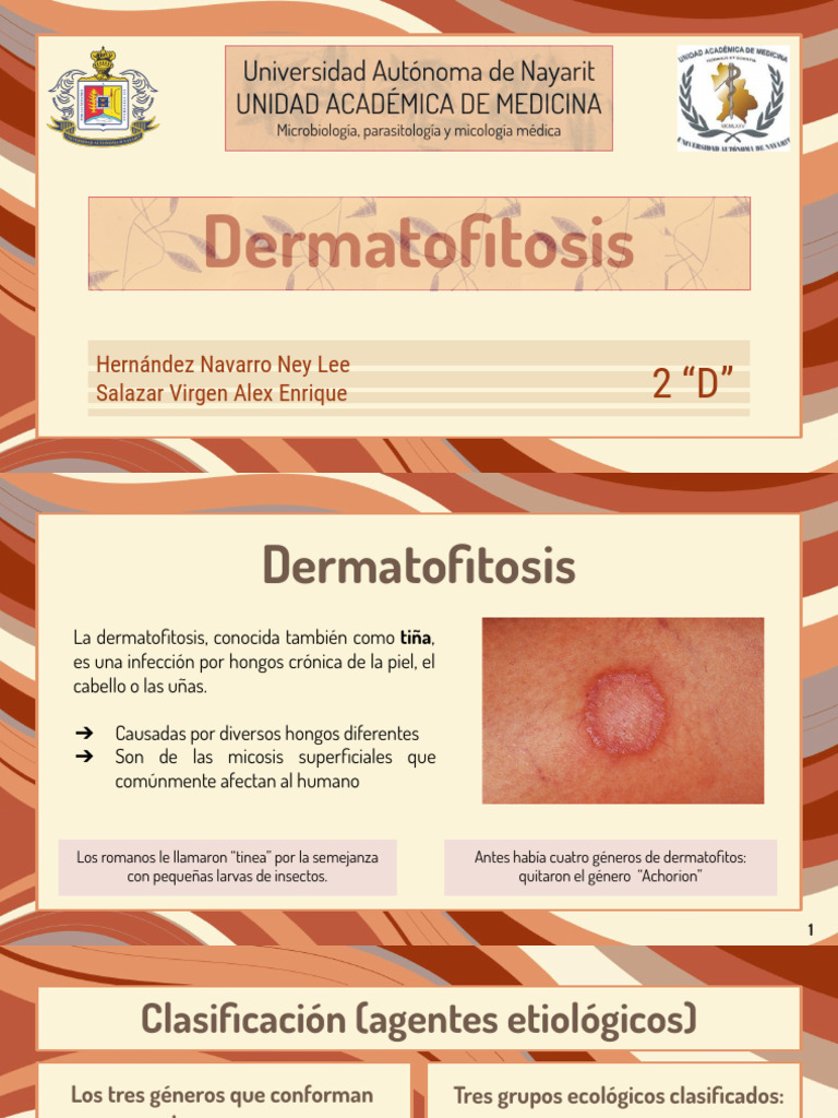 Dermatofitosis 211207205203 | PDF | Micología | Especialidades Medicas