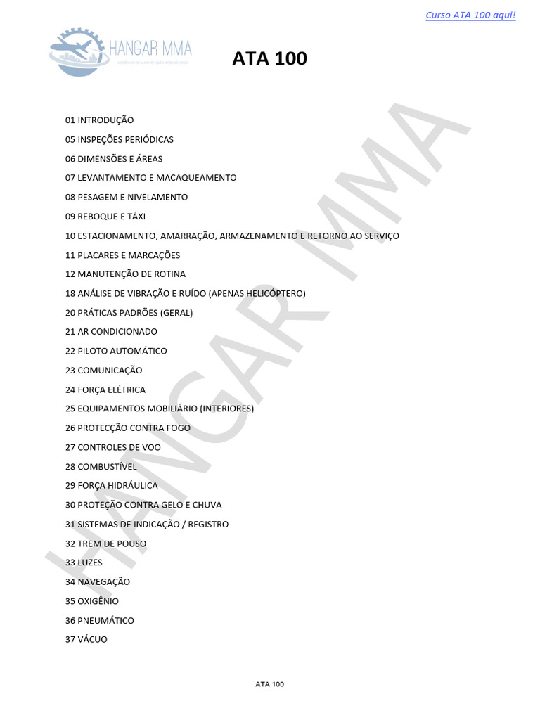 Ata 100 Portugues | PDF