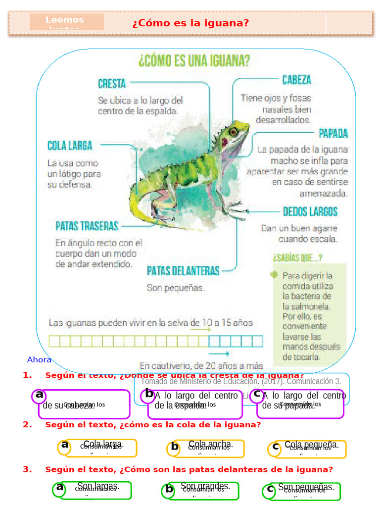 LEEMOS JUNTOS ¿Cómo Es La Iguana | PDF