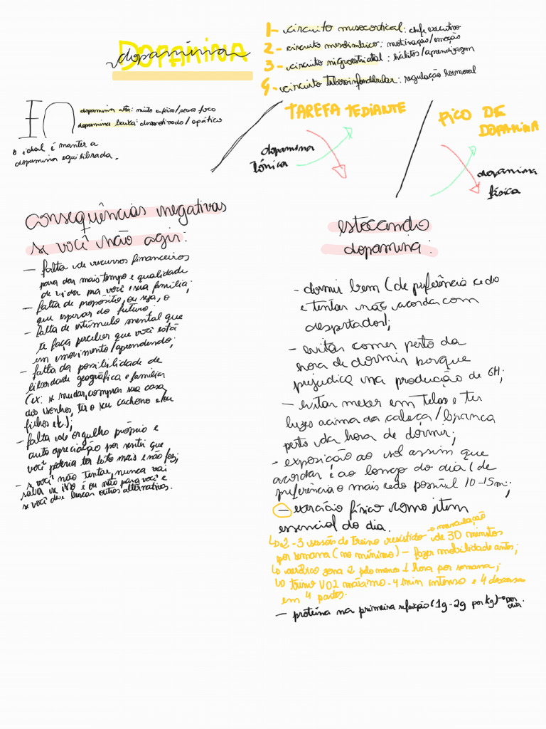 Protocolo MFMA - 241130 - 202745 | PDF