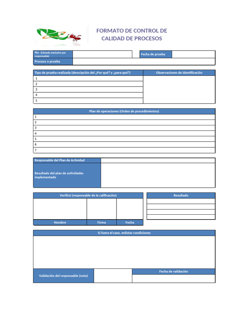 Formato de Control de Calidad | PDF
