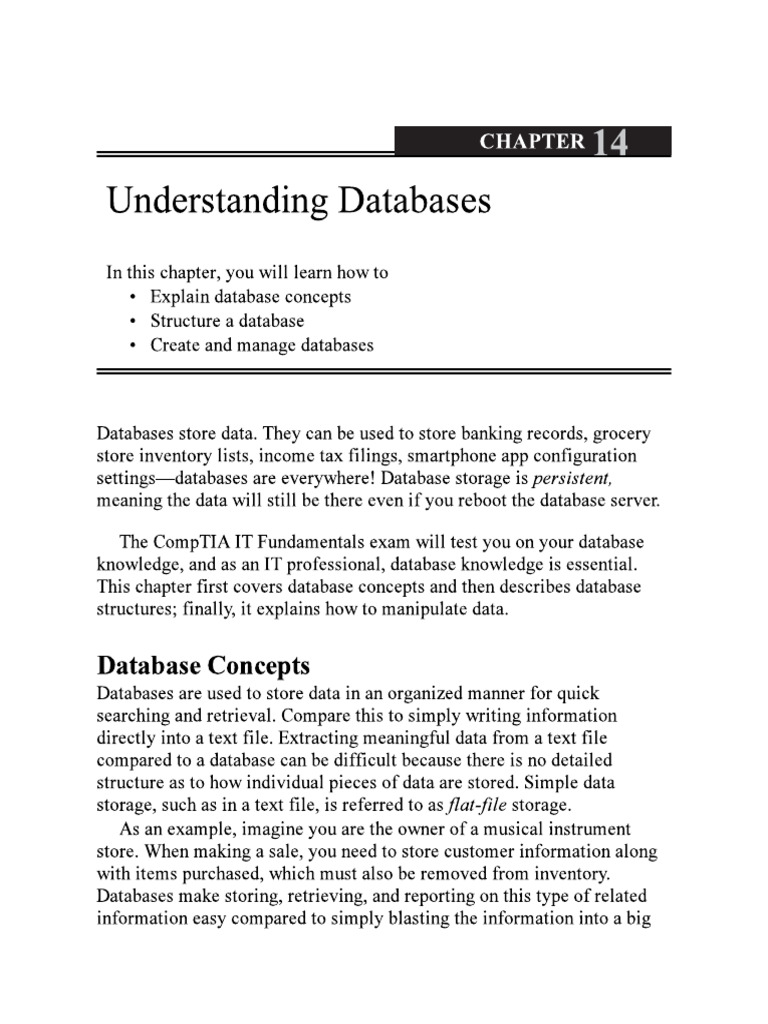 ITF Chapter 14 - Understanding Databases | PDF