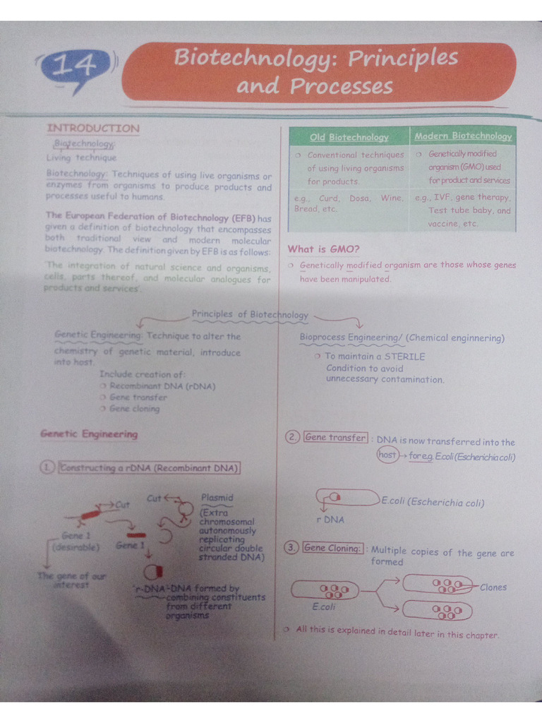 12th Biology | PDF