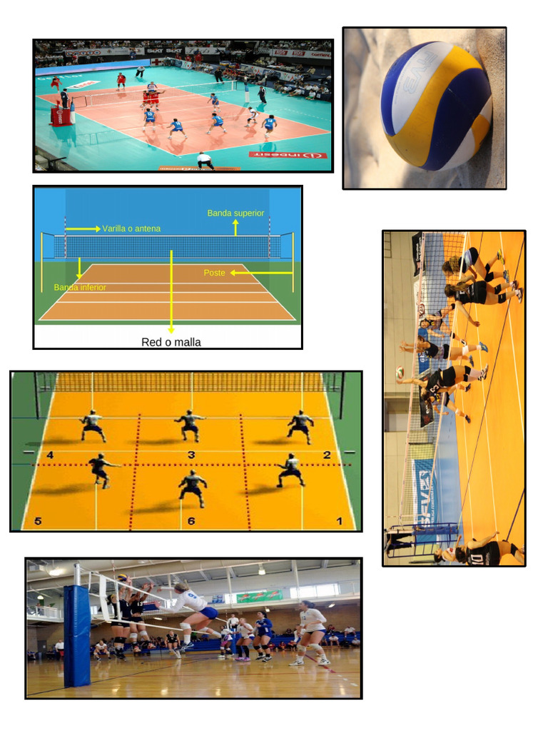 Reglas Del Voleibol | PDF