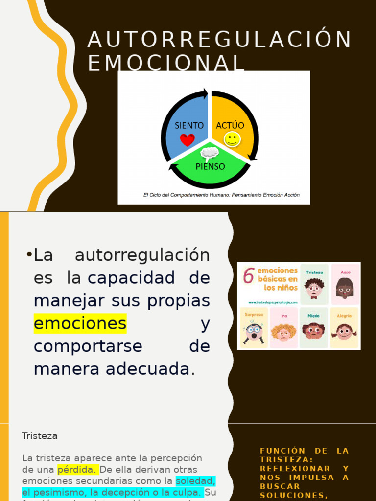 Autorregulación Nov 24 | PDF | Las emociones | Ira