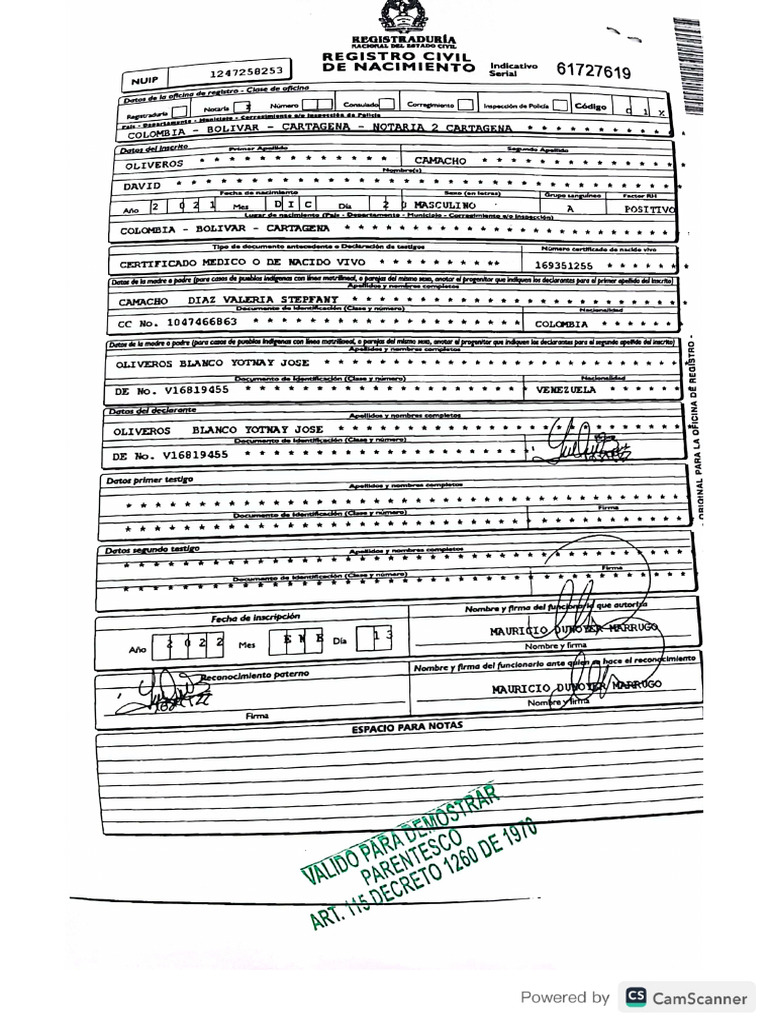 Registro Civil David | PDF