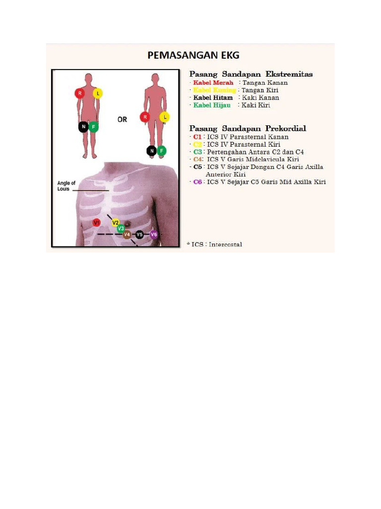 Gambar Pemasangan Ekg | PDF