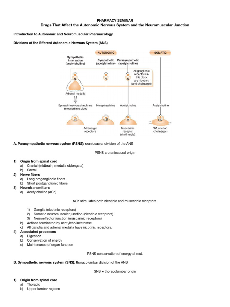 Pcol Drugs That Affect The ANS and NM | PDF | Acetylcholine | Norepinephrine