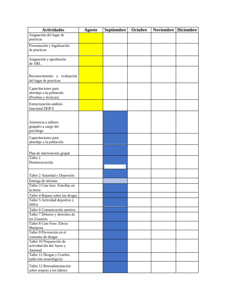 Cronograma de Actividades Practica Profesional 2 | PDF
