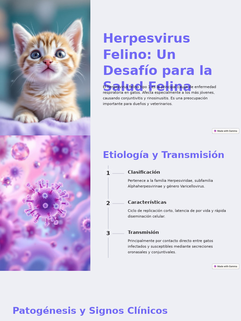 Herpesvirus Felino: Salud y Prevención | PDF | Virus | Gatos