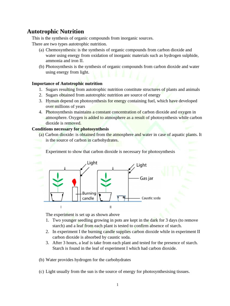 Autotrophic Nutrition | PDF | Photosynthesis | Leaf