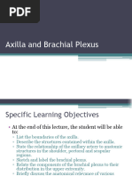 Axilla Region: Borders and Contents | PDF | Arm | Limbs (Anatomy)