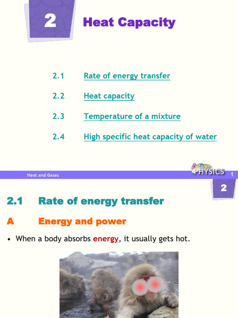 ch02_main_e | PDF | Heat | Heat Capacity