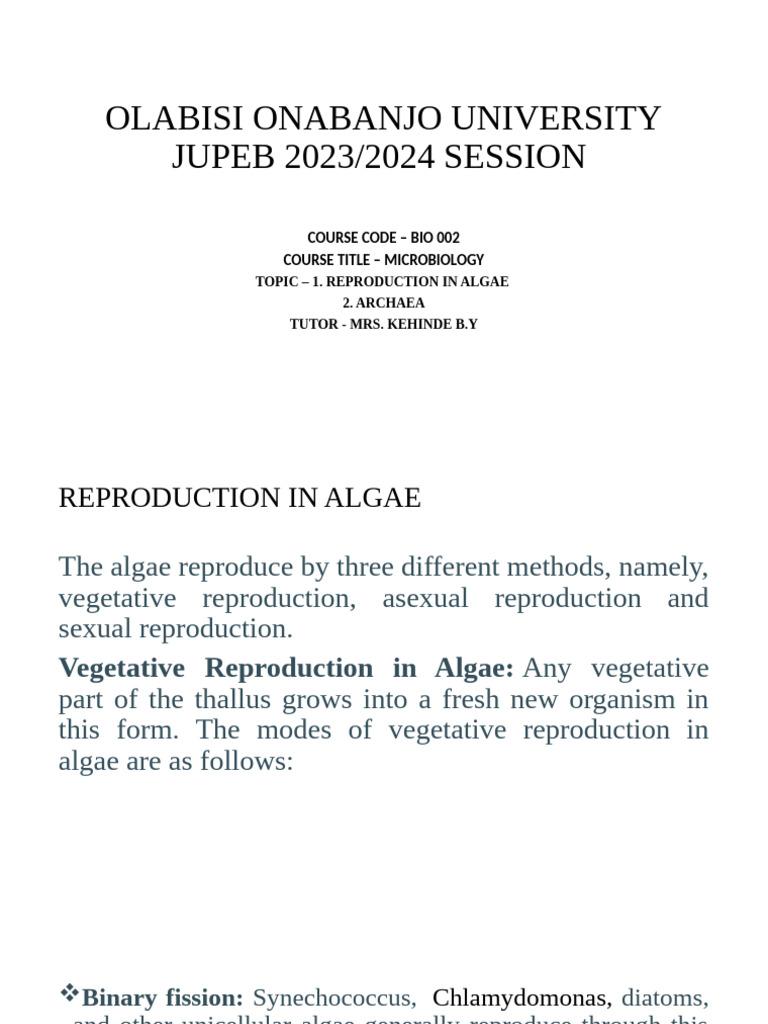Algae And Archaea Pdf Archaea Bacteria