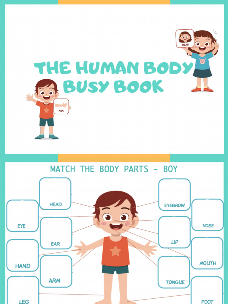 The Human Body Busy Book | PDF