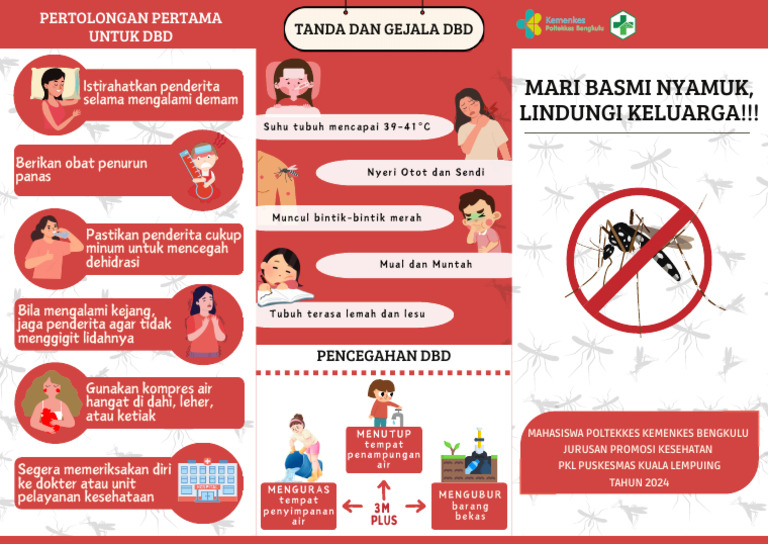 Leaflet Pencegahan Dbd | PDF