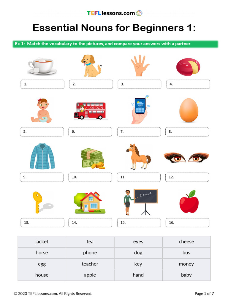 beginner-nouns-1-student-copy | PDF | Noun | Linguistics