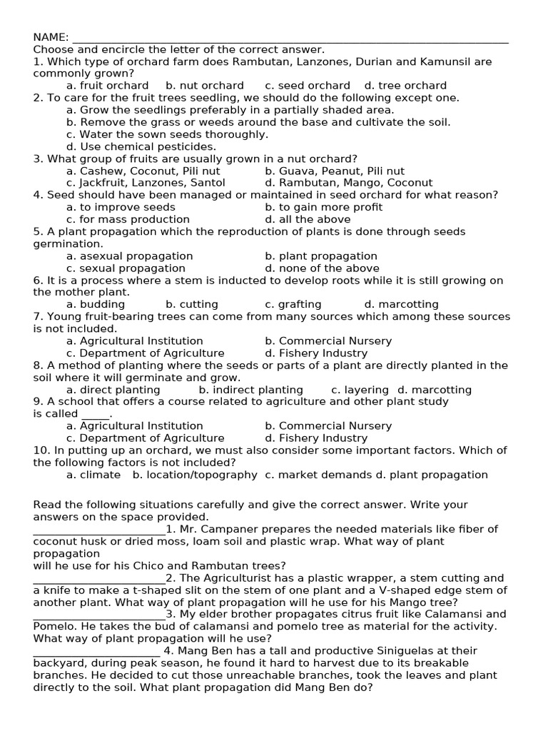TLE activity | PDF | Seed | Plants