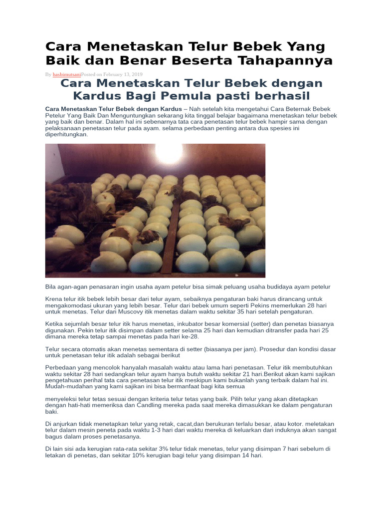 Cara Menetaskan Telur Bebek Yang Baik dan Benar Beserta Tahapannya | PDF Cara Menetaskan Telur Bebek Yang Baik dan Benar Beserta Tahapannya | PDF