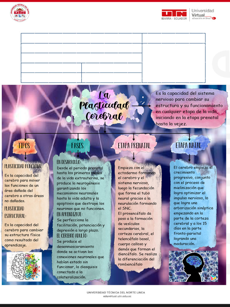 PSIC 3S AGuerrero PF TN4 | PDF | Cerebro | Neurona