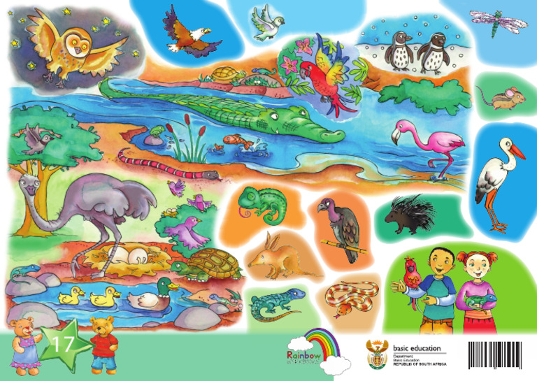Grade R Poster 17 Birds and Reptiles Reduced | PDF