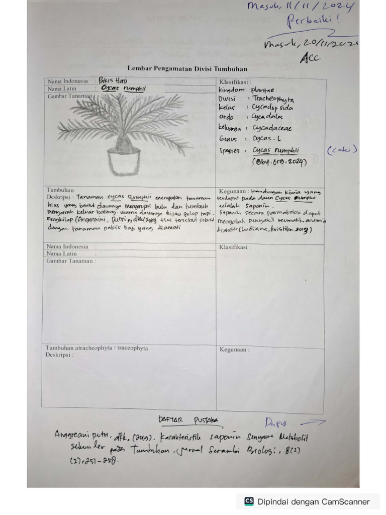Kelompok 6 Perc.1-5. (Perc6 Belum Acc) | PDF