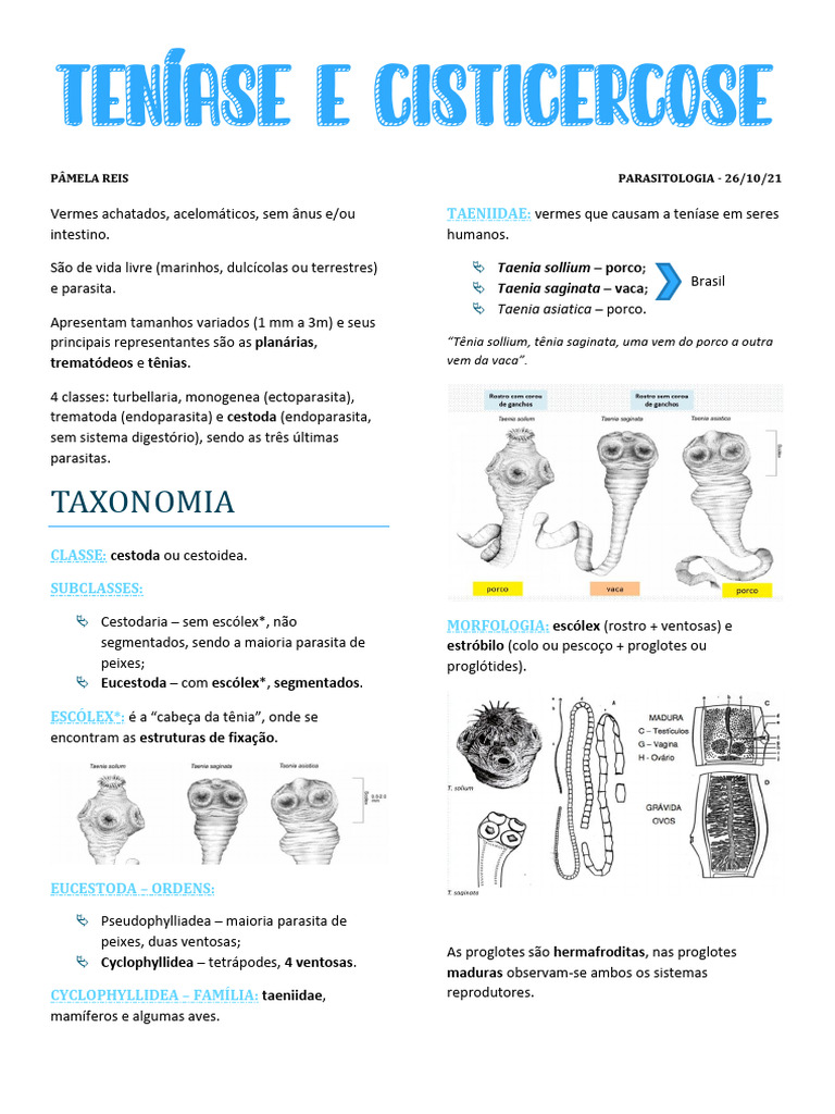Teníase e Cisticercose (Parasitologia) - Prof.º Henrique Wogel | PDF ...