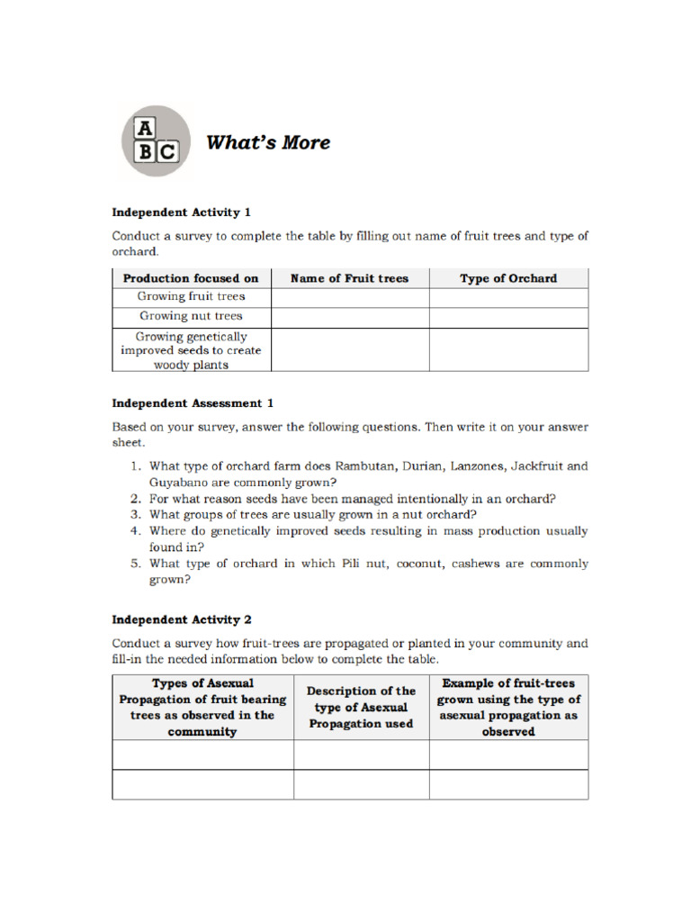 Whats More | PDF