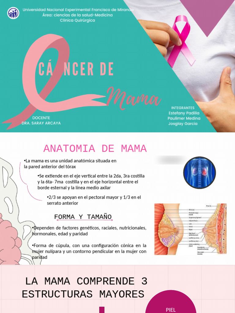 Ca de Mama | PDF | Cáncer de mama | Pecho