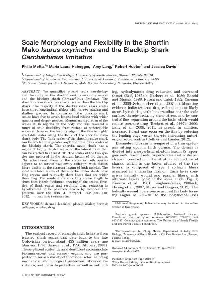 Journal of Morphology - 2012 - Motta - Scale morphology and flexibility in the shortfin mako ...