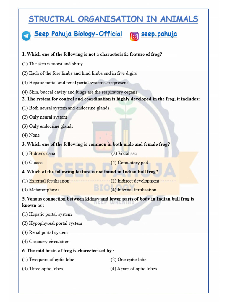 Structural Organisation in Animals | PDF | Epithelium | Tissue (Biology)