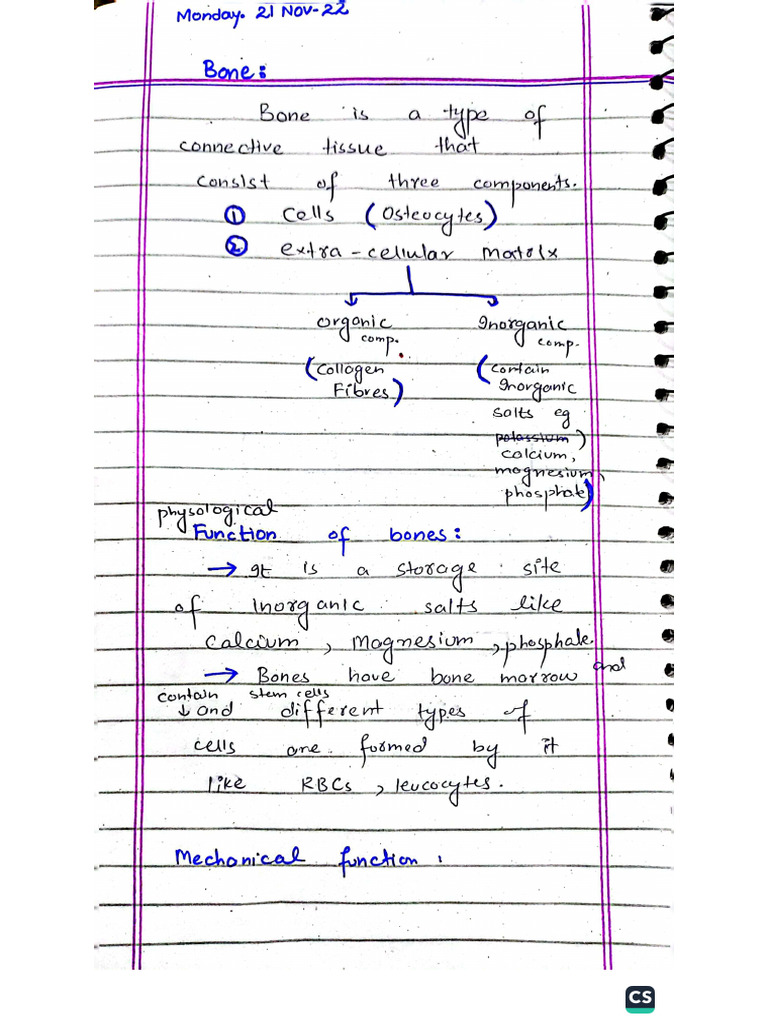 CHPTR No.2 Bones | PDF