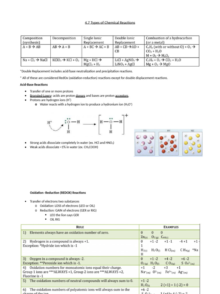 Intro To Reactions Notes | PDF
