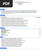 Sunil Resume 1 | PDF | Career & Growth