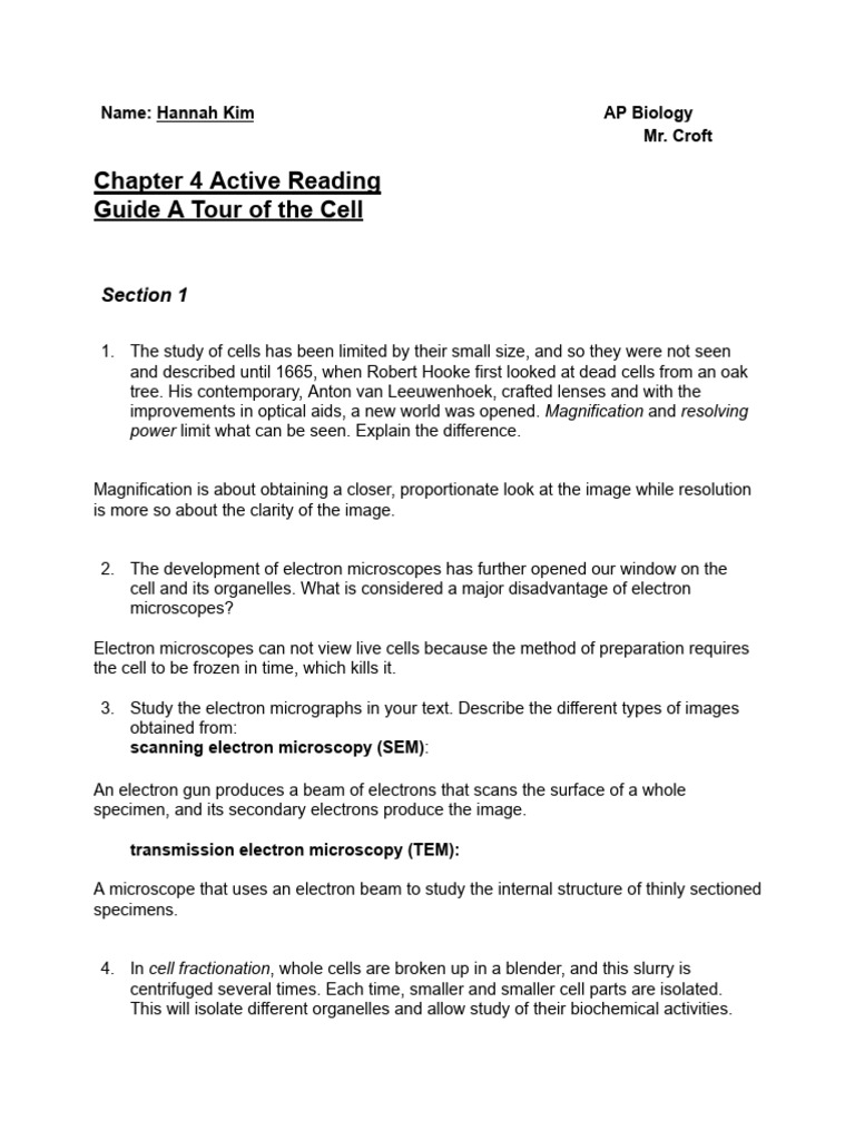 Chapter 4 Active Reading Guide | PDF | Endoplasmic Reticulum | Cell (Biology)