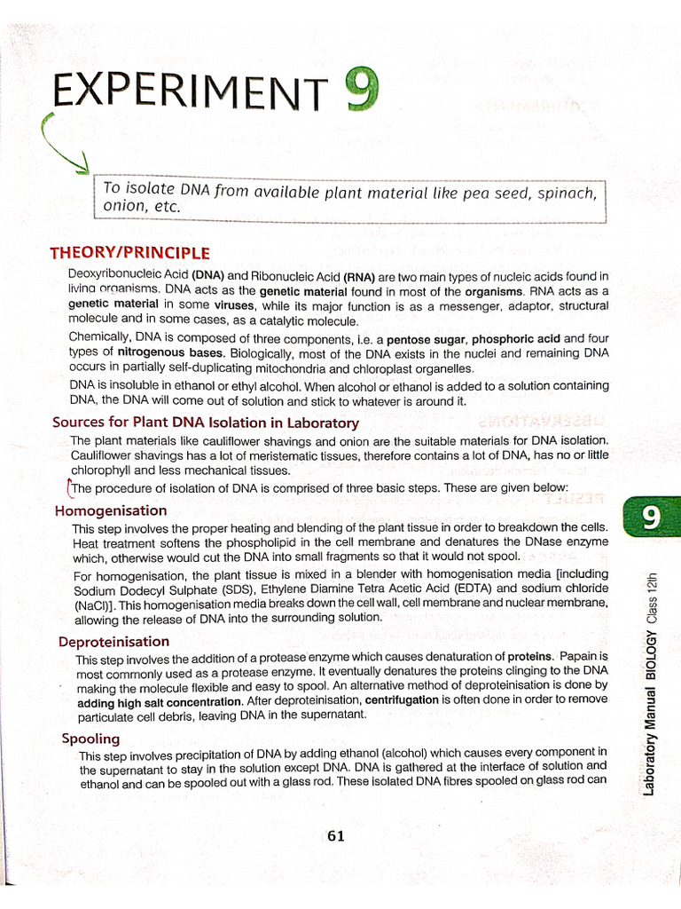 Experiment 1 (DNA Isolation) Experiment 2 (Pollen Germination) | PDF