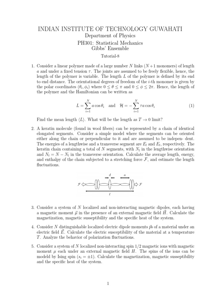 PH301 Problem-Set8 Gibbs | PDF | Magnetism | Polymers