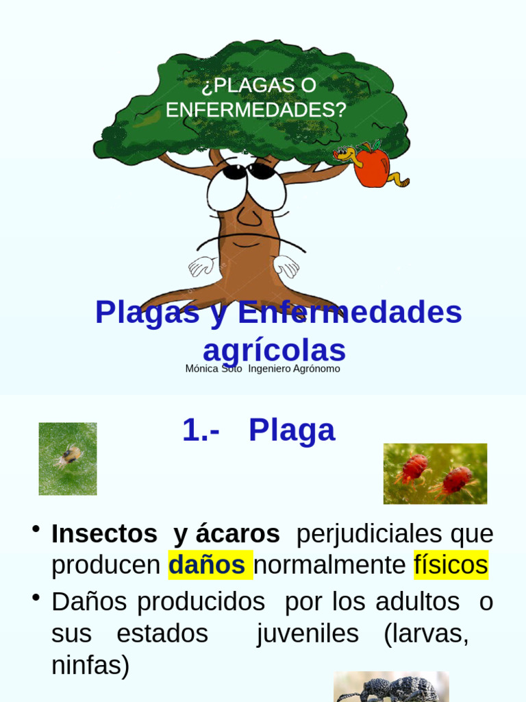 Clase 1 Plagas y Enfermedades | PDF | Plaga (organismo) | Patógeno