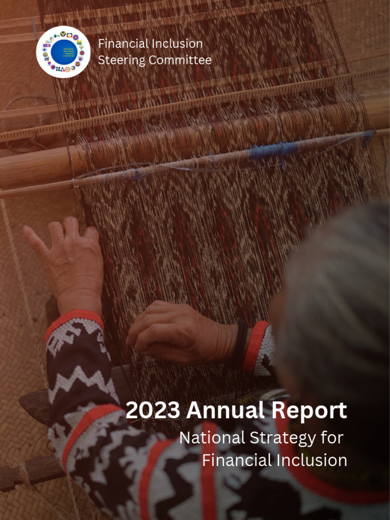 2023NSFIAnnualReport(1) | PDF | Financial Inclusion | Microfinance