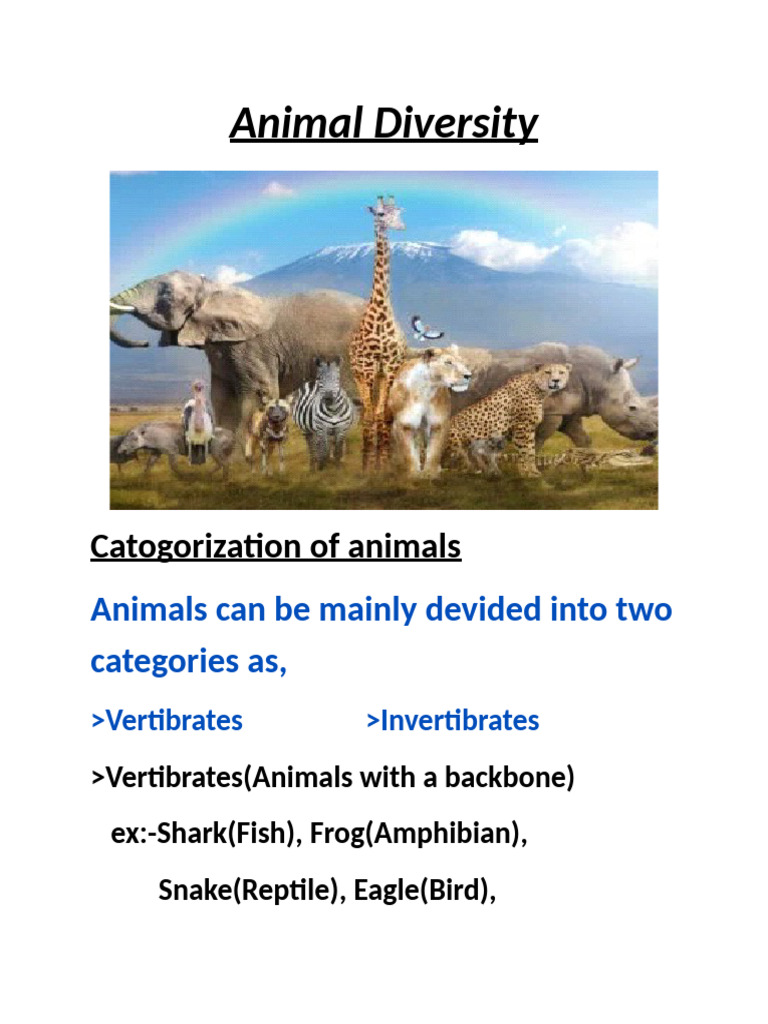 Diversity of Animals and Plants | PDF | Leaf | Flowers