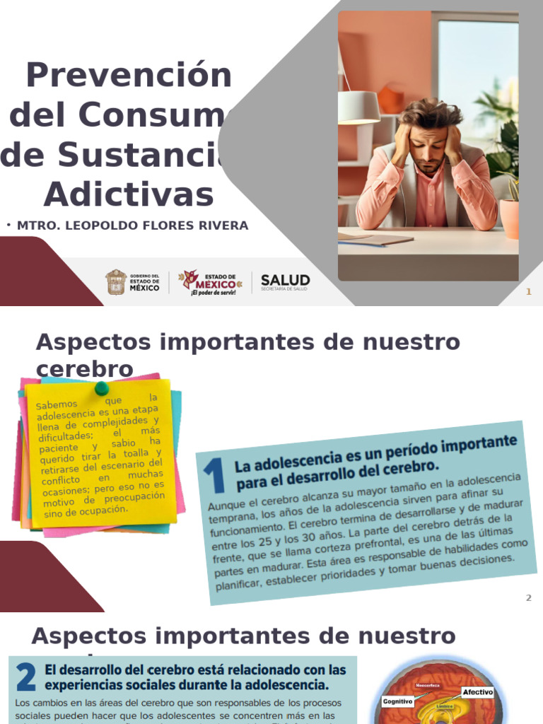 Anfetaminas, Mariguana, Inhalables | PDF | Sistema endocrino | Órgano ...