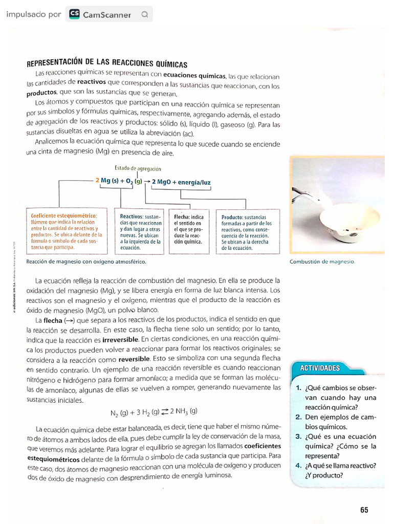 2-b. F-sico Qu-mica. Unidad 5 . Reacciones Qu-micas | PDF